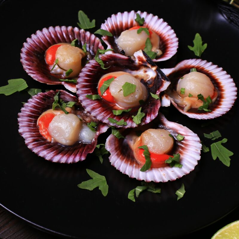 Ostiones Media Concha – Novamas – Pescados, mariscos y productos congelados